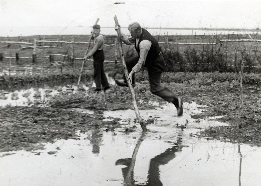 Fierljeppen: Traditional Dutch Pole Jumping - Expat Republic